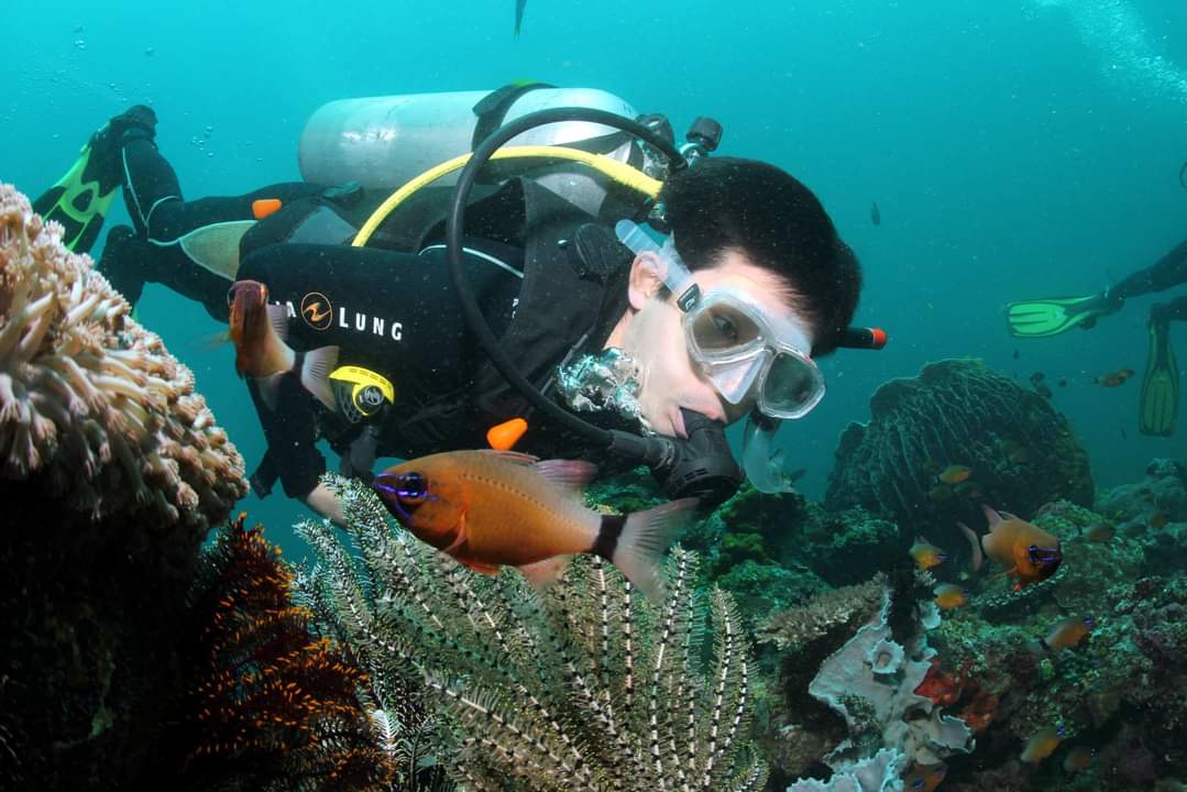 Discover Diving Day , introduction for Non-Certified Divers - Pirates ...